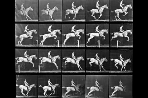 Exploring Animation Techniques: From Traditional to Cutting-Edge ...